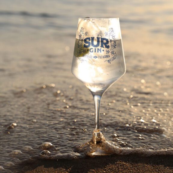 Disfruta de estos cocteles con uno de los mejores GIN del mundo y es ...