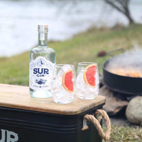 SUR GIN entre los 12 mejores Gin del mundo